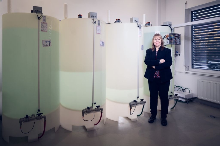 Sustainable Renal Care: How Dialysis is Going Green