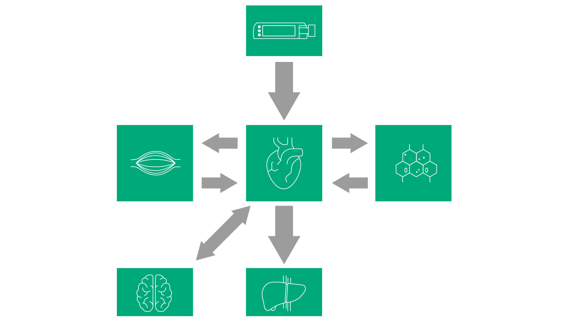 Total intravenous anesthesia (TIVA) and TCI with Spaceplus | B. Braun ...